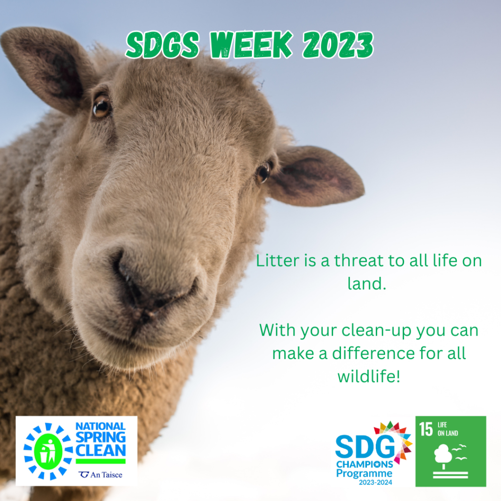 SDGs Week and the National Spring Clean - National Spring Clean